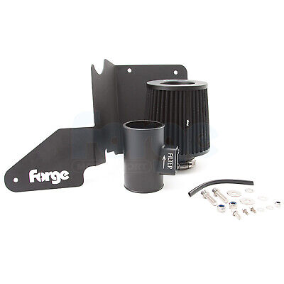 Forge Intake/Induction Pleated Air Filter Kit For Ford Fiesta 1.0 Turb ...